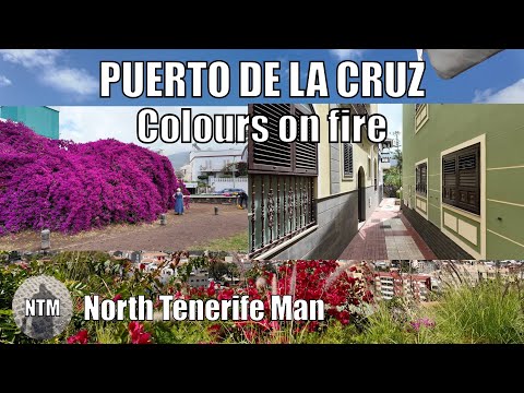 TENERIFE, COLOURS ON FIRE, PARQUE SORTIJA