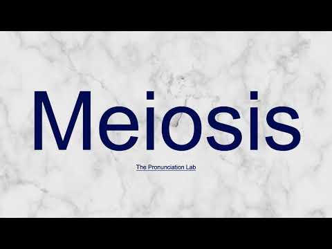 Meiosis Pronunciation: How to Pronounce Meiosis — How to Say Meiosis?