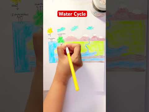 Water Cycle - Hydrologic Cycle #science