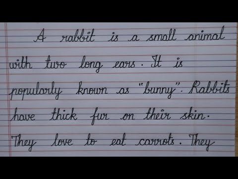 Few lines on rabbit/Cursive Handwriting/four line note/writing practice for beginners/English #73
