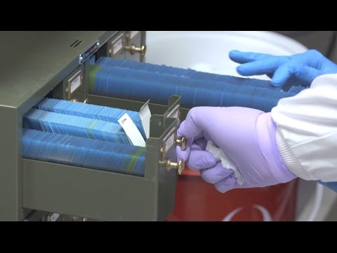 A Bold Vision for Breast Cancer Research