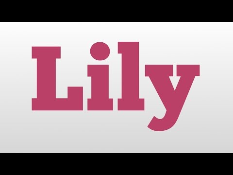 Lily meaning and pronunciation