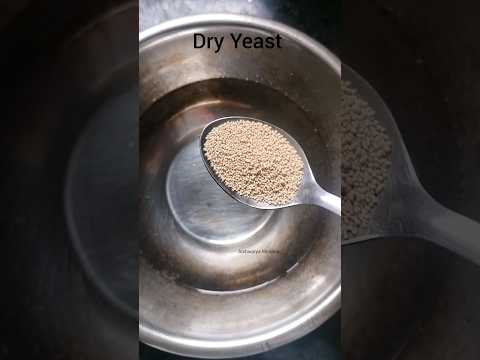 how to activate dry yeast? #pizza #shorts #yeastmaking #yeastbread #yeastdough #short #youtube #yt