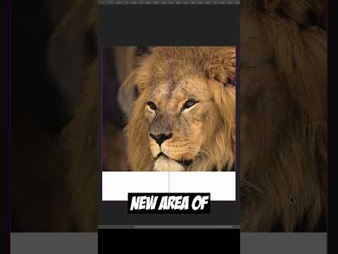 Extend Your Photo With Photoshop's AI Technology!