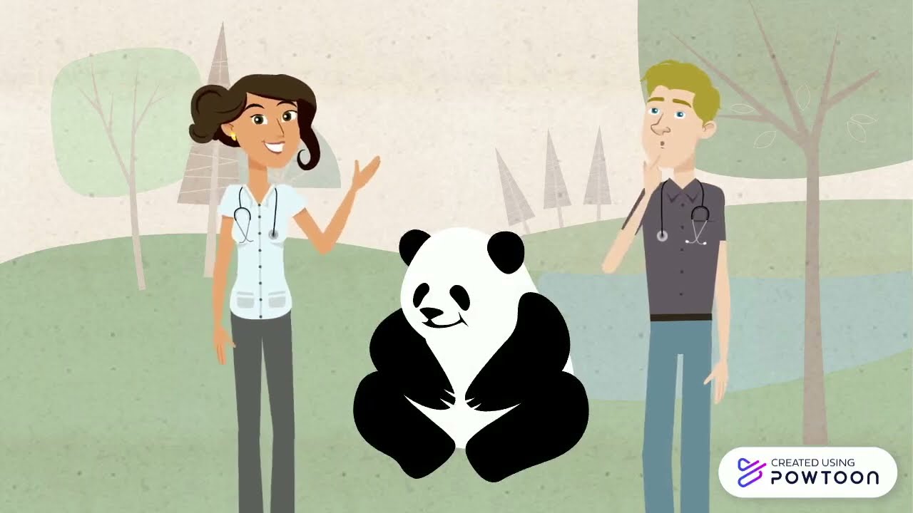 3º ANO - VERBETE (PRODUÇÃO, ESTRUTURA E USO)