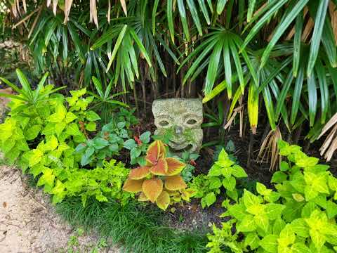 Washington Oaks Garden State Park | Flagler County Coastal Beach & Park | Walking Trail