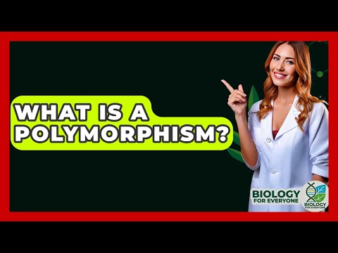 What Is A Polymorphism? - Biology For Everyone