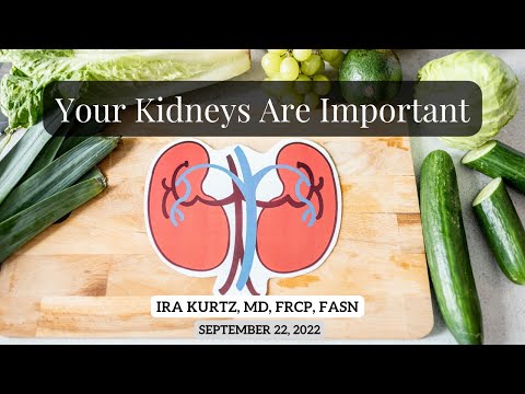 Your Kidneys Are Important | Ira Kurtz, MD, FRCP, FASN