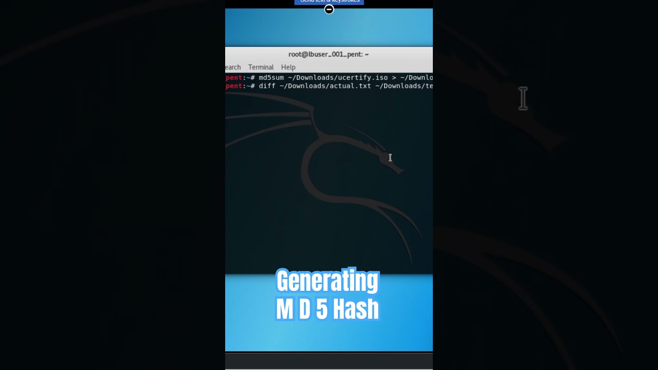 How to Generate MD5 Hash  Value for Comparison           Kali Linux
