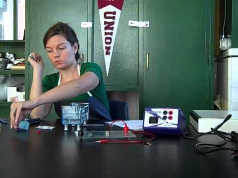 DNA Profiling Lab Compressed