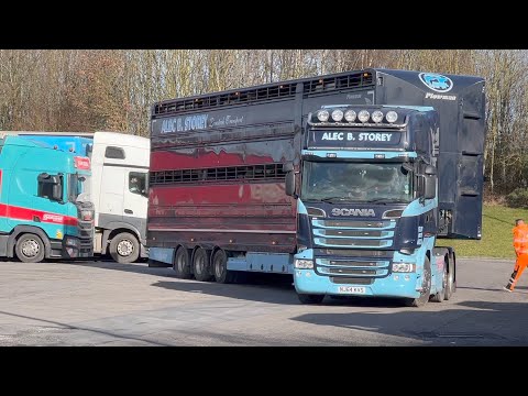 Truck Spotting UK 🇬🇧 Episode XXX | M1 Services 🌤