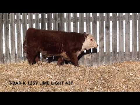 T-Bar-K 43F -updated -T Bar K Ranch 2019.mp4