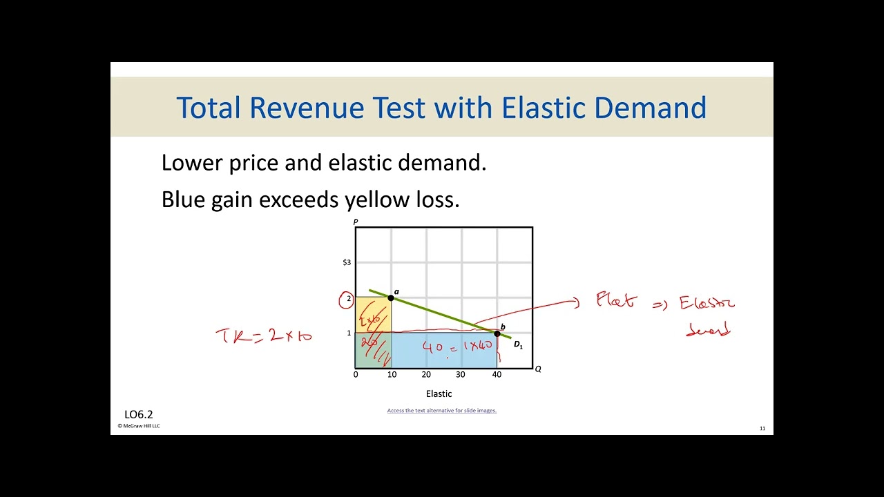 Chapter 6 - Elasticity