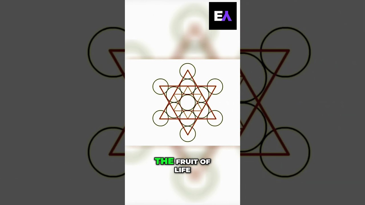 The Flower of Life: The Origin of All Geometry and Energy Patterns  #SacredGeometry #FlowerOfLife