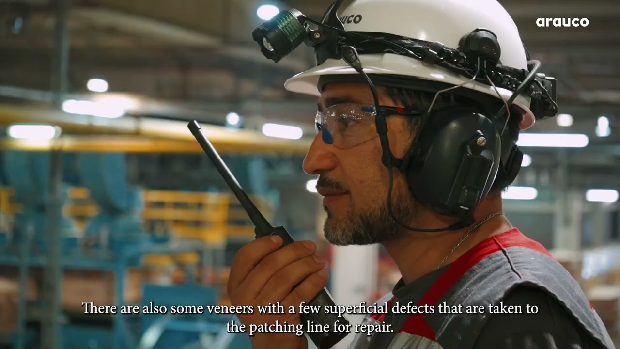 AraucoPly production process