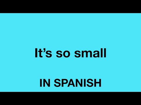 How To Say (It's so small) In Spanish