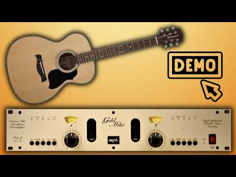 SPL Goldmike 9844 iMuso