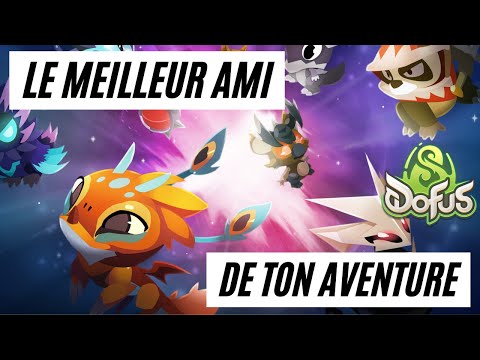 Tout Savoir sur les Familier - Guide Du Noob