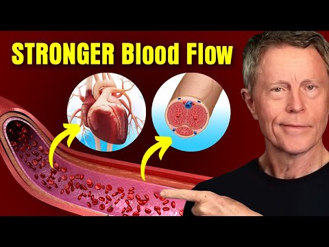 How to Boost Nitric Oxide: Better Erections and Clean Arteries (ft. Dr NO)
