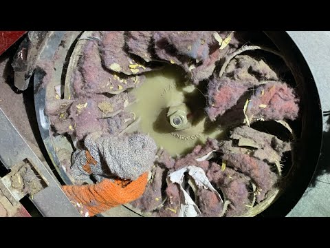 Clean out your dryer Lint trap or this will happen