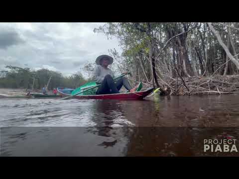 International Rainforest Day 2025