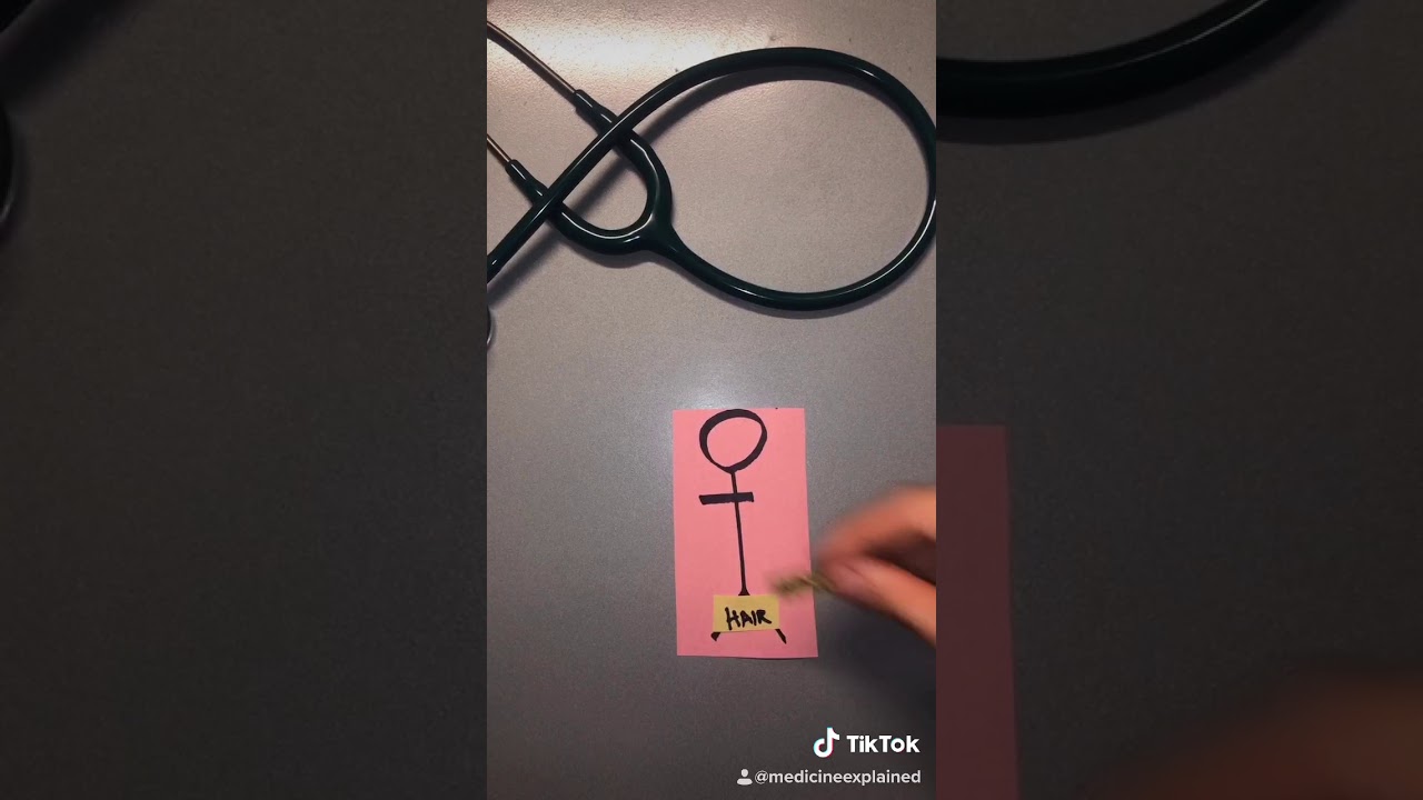 What happens during puberty? #Shorts #MedicineExplained #Shelf