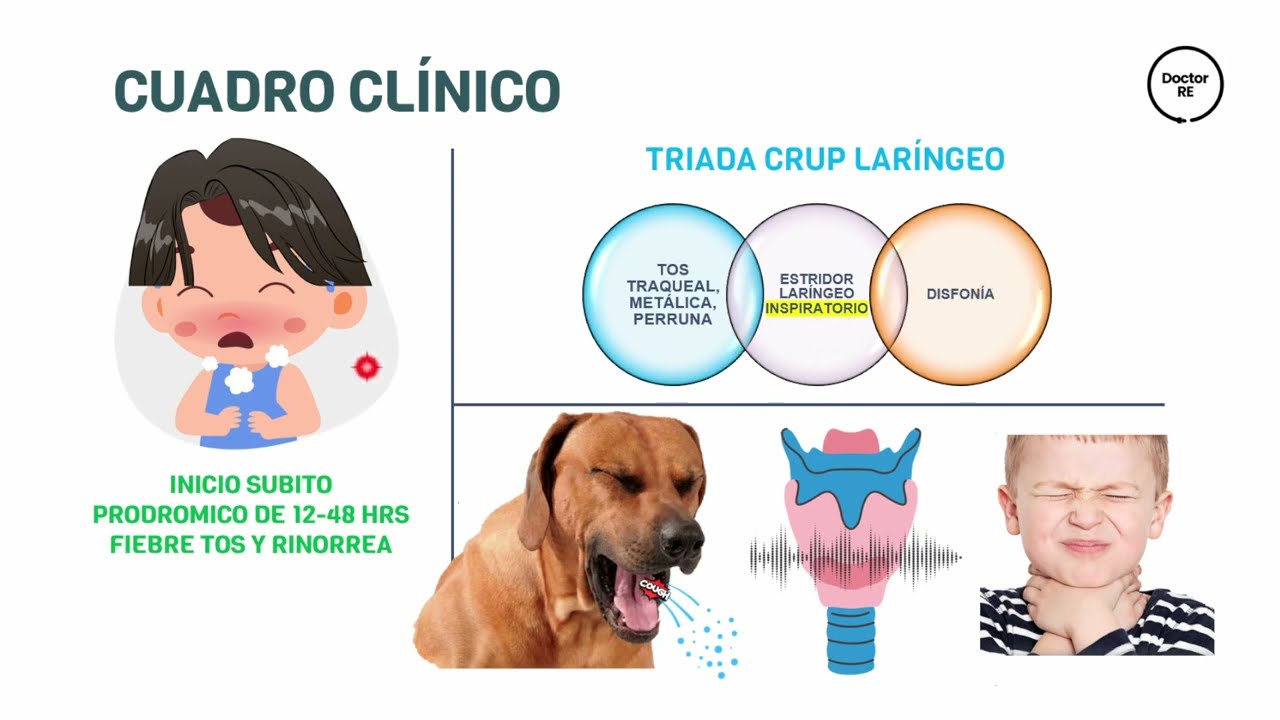 LARINGOTRAQUEITIS (CRUP) / EPIGLOTITIS ENARM PEDIATRIA