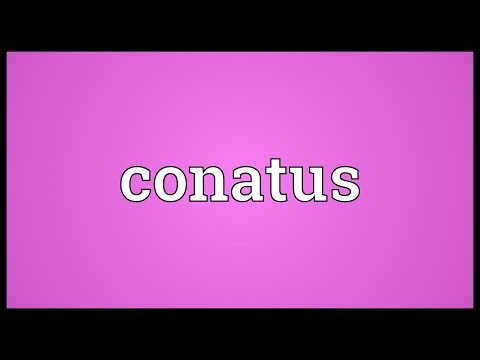Conatus Meaning