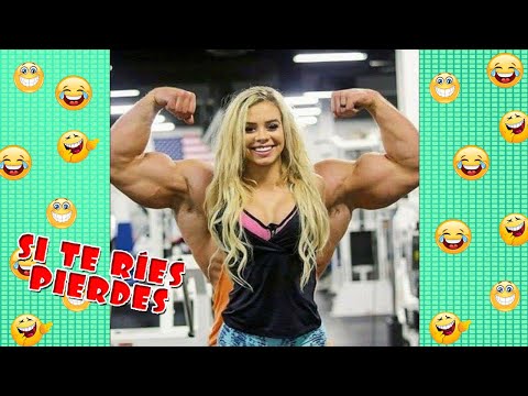 Los Mejores VIDEO MEMES 😂 IMPOSIBLE NO REÍRSE 😅 Videos De Risa 🤣 SI TE RÍES PIERDES NIVEL DIOS