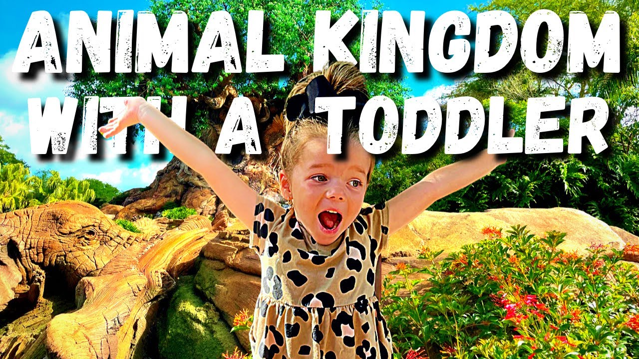 Best Things to do with a Toddler at Animal Kingdom