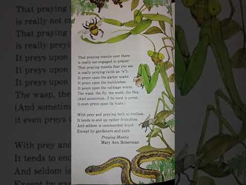 praying mantis poem