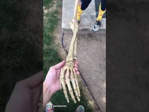 The bones in your arm actually cross!