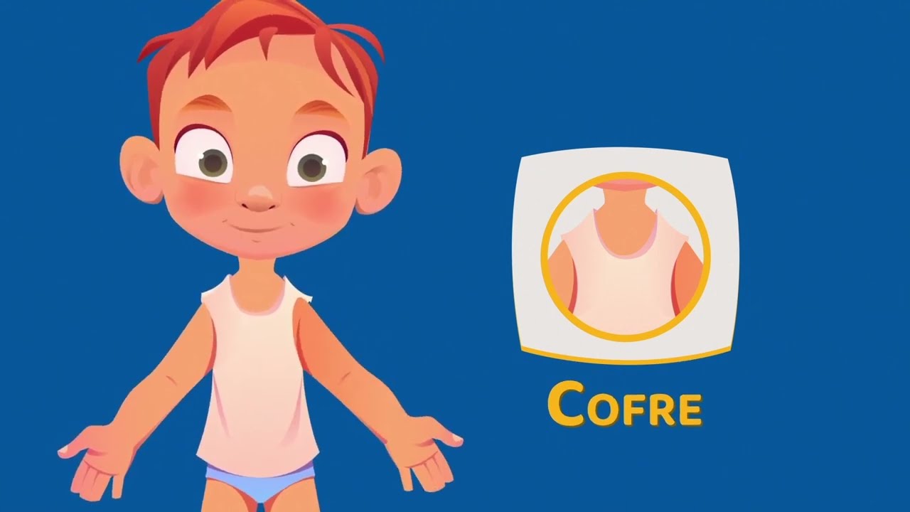 Aprenda las partes del cuerpo | Vocabulario de niños | Biología Preescolar | Aprende español