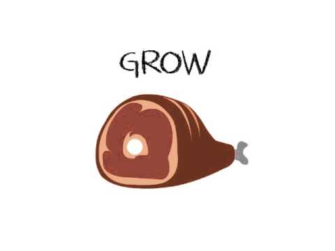 Go Grow & Glow