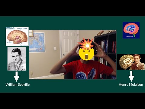 Neuroscience For Kids | The Hippocampus