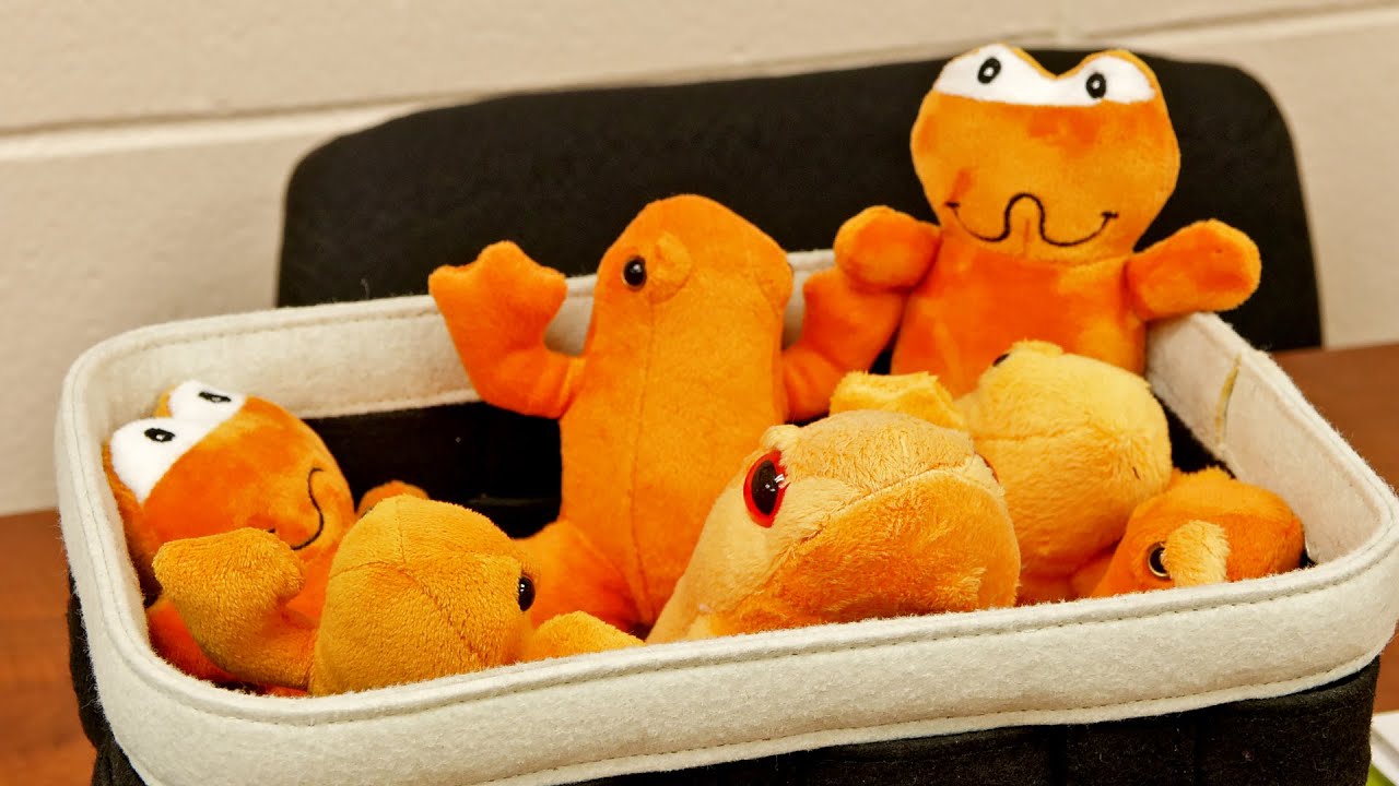 Orange Frog At Mann Elementary