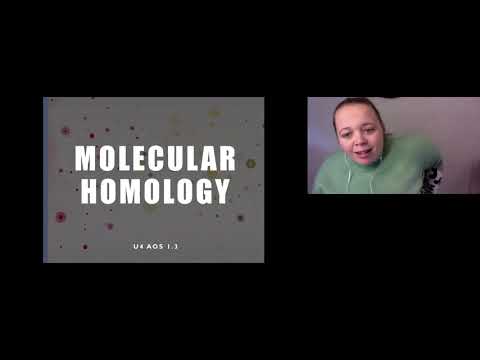 4.1.3a Molecular homology
