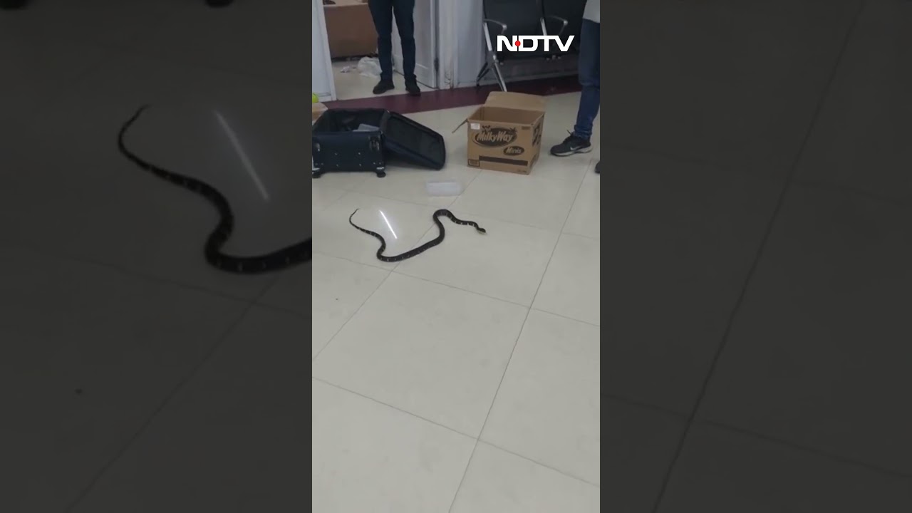 Woman Arriving At Chennai Airport From M'sia Arrested For Smuggling 22 ...