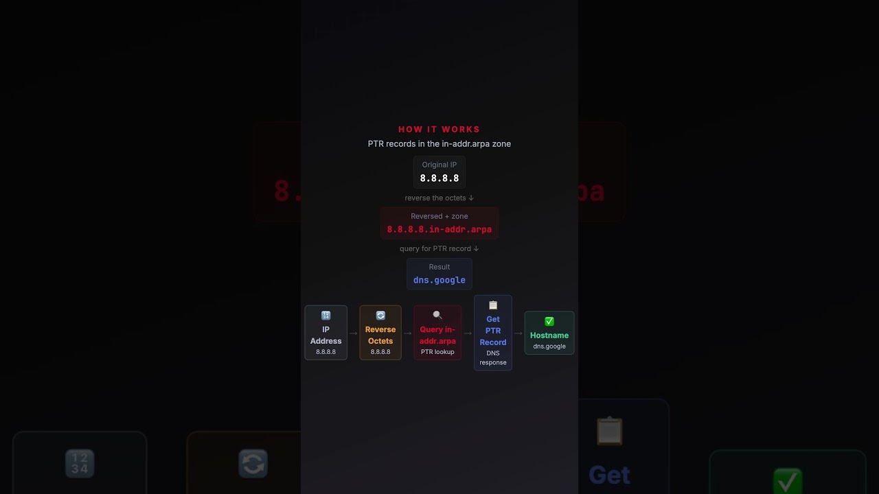 Reverse DNS (rDNS) — How to Go From IP Address to Domain Name