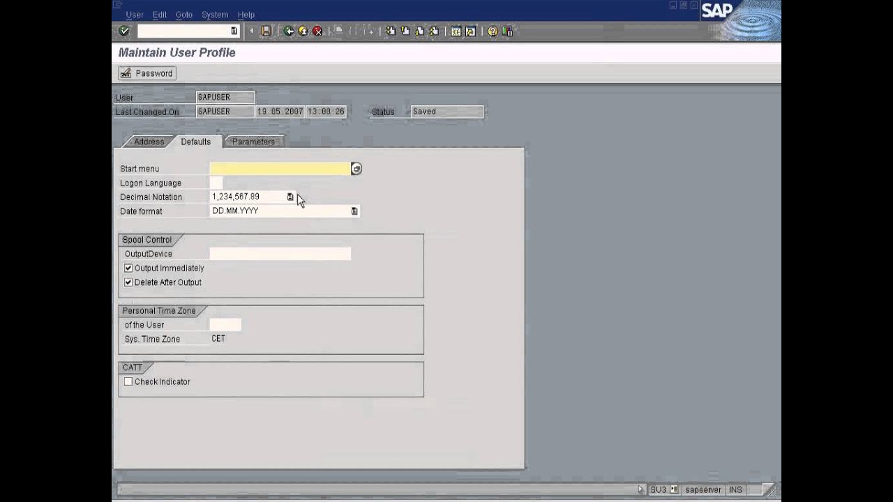 SAP User Data Parameters