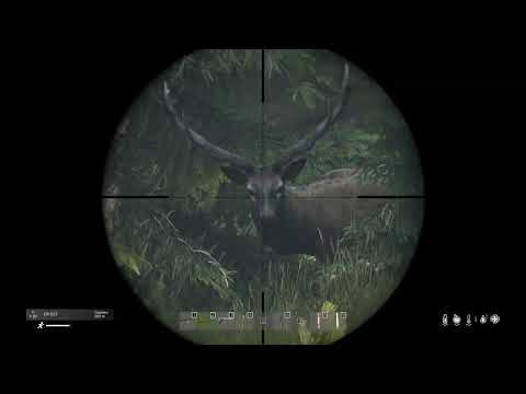 Steam Community :: Video :: Hunting on Deer / DayZ (Natural instincts)