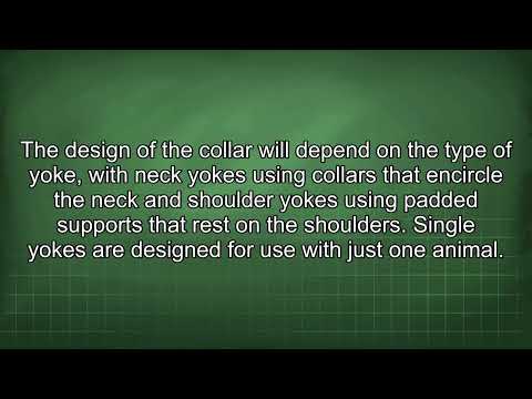 What is a Yoke? Definition, Types, and Functions