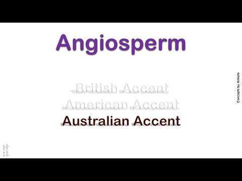 Angiosperm How to Pronounce Angiosperm in Australian Accent, British Accent, American Accent ?