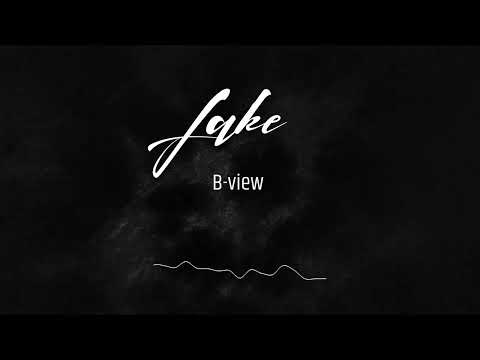 B-view FAKE