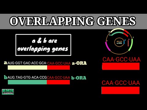 What is a non overlapping code?