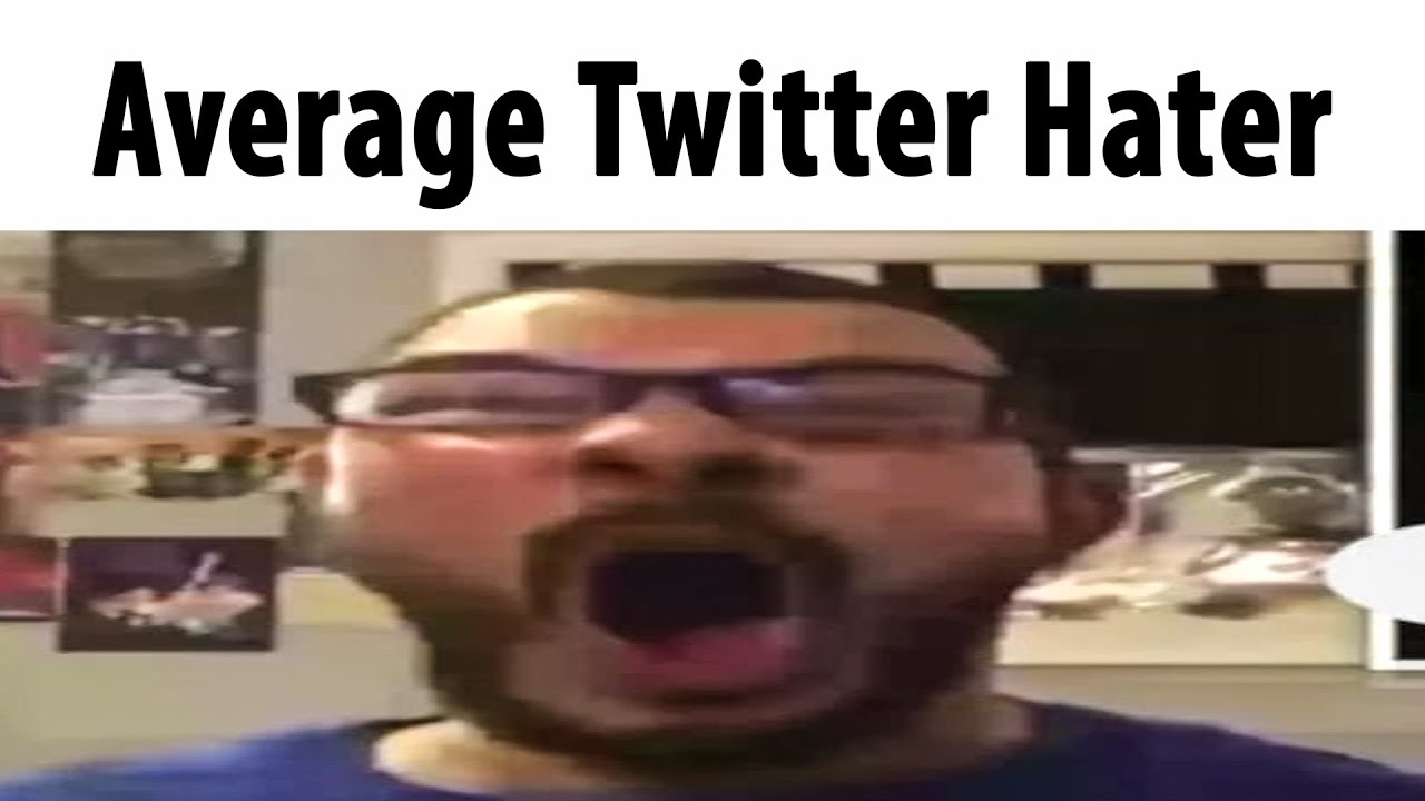 Average Twitter Hater