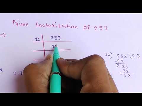 Give the prime factorization of 253 // prime factorization 😭😭