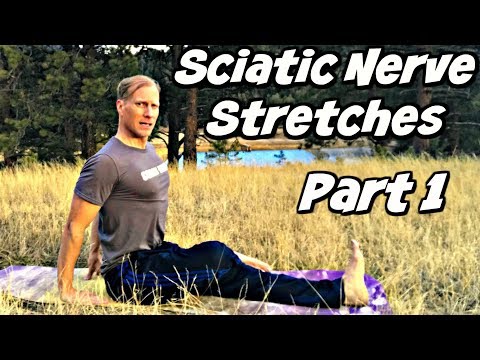Best Stretches for Sciatic Nerve Relief (part 1 of 2) - Sean Vigue Fitness