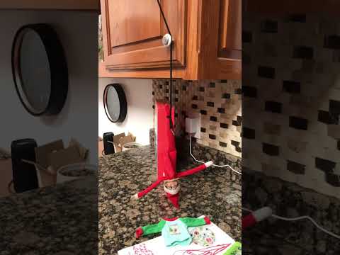 My elf,s name is chippy