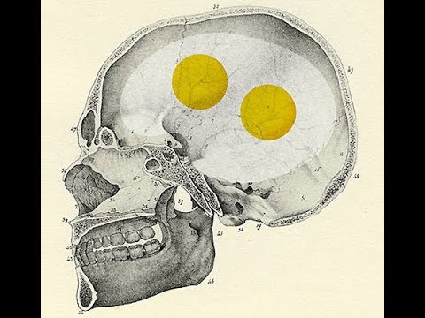Presence of Mind
